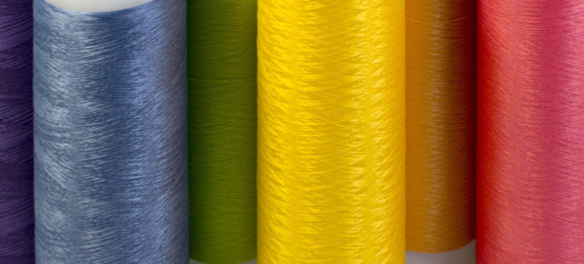 e.dye® | Products | Yarn